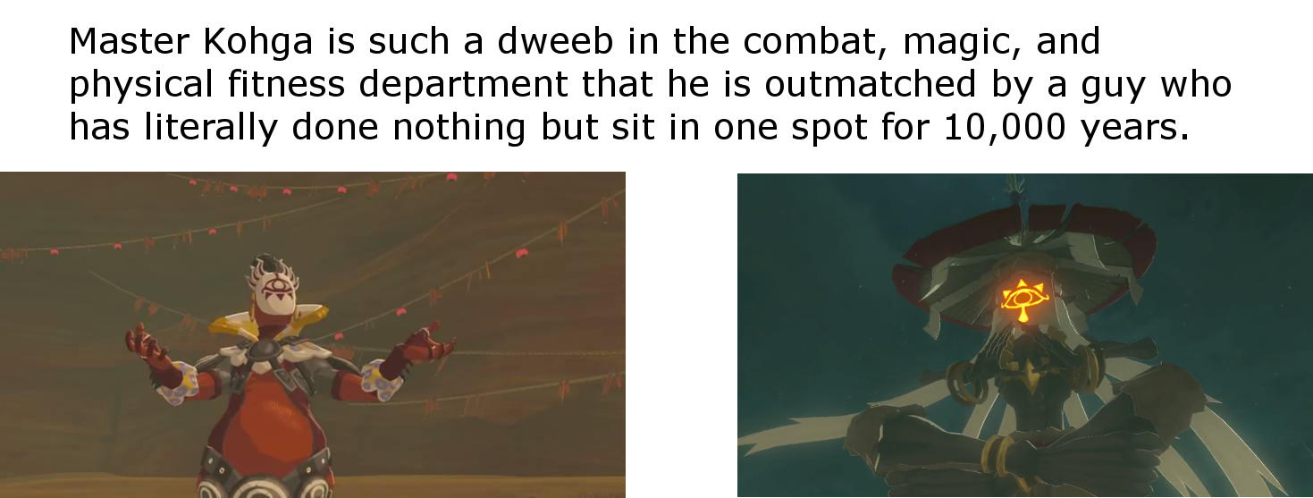 The two Sheikah boss fights in this game are quite a contrast. | The ...