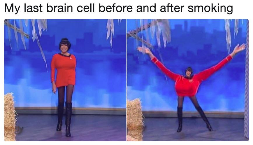 My last brain cell before and after smoking | My Last Brain Cell | Know ...