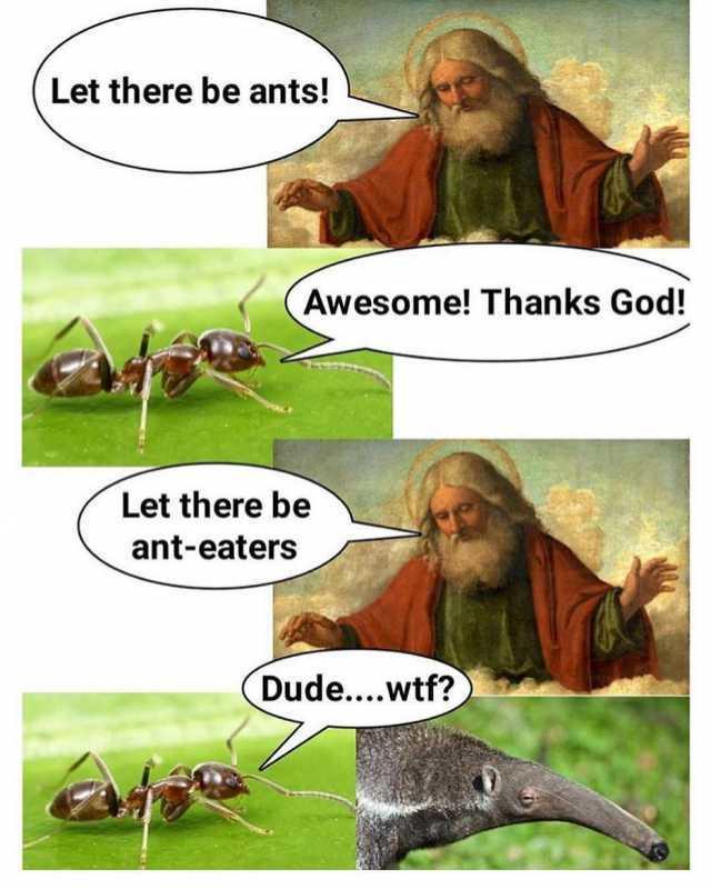 Original | Let There Be Ants! | Know Your Meme