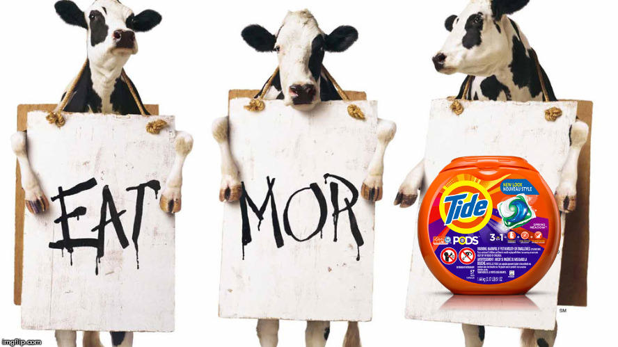 Eat More Tide Pods | Tide POD Challenge | Know Your Meme