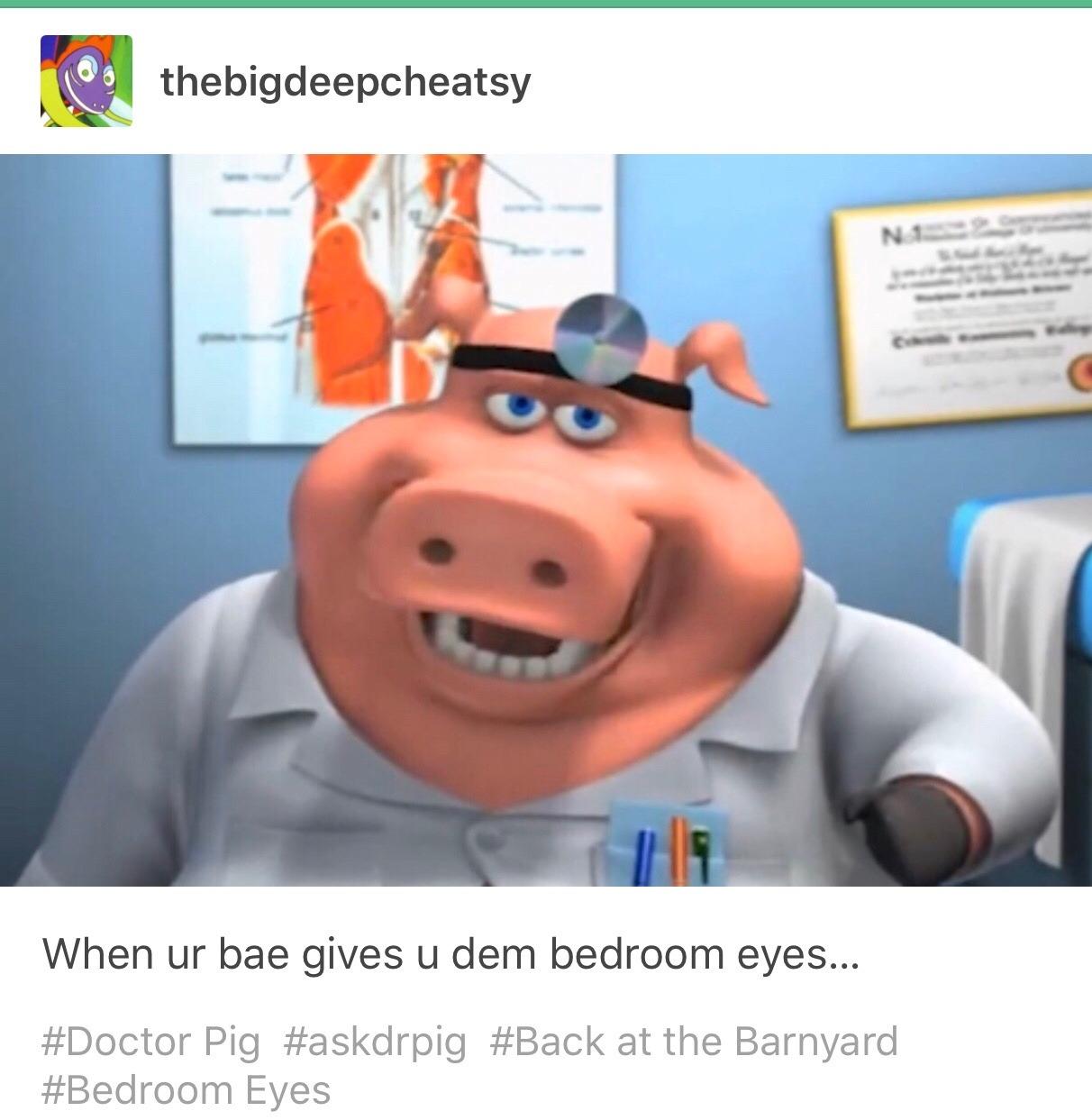 Dr. Pig Bedroom Eyes | Dr. Pig | Know Your Meme