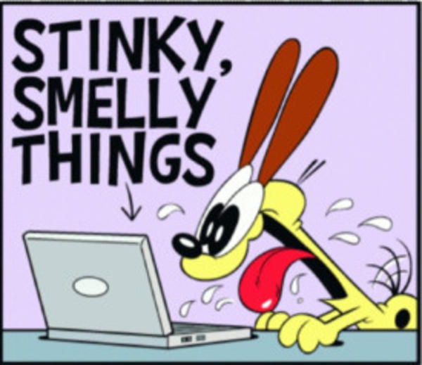 Stinky Smelly Things | Computer Reaction Faces | Know Your Meme