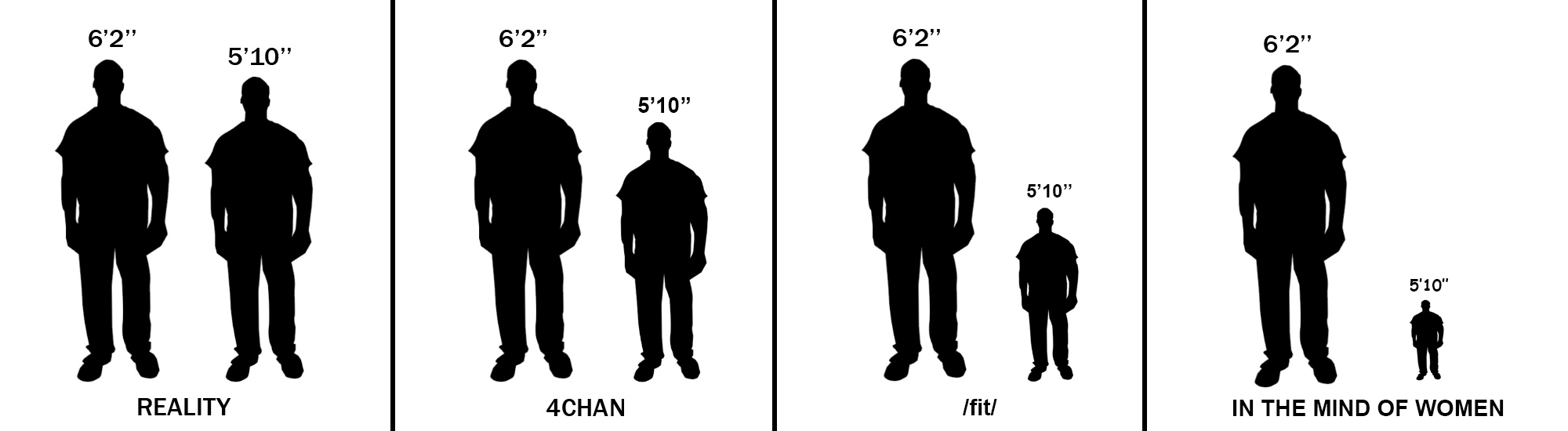 Manlet Chart Manlet Know Your Meme