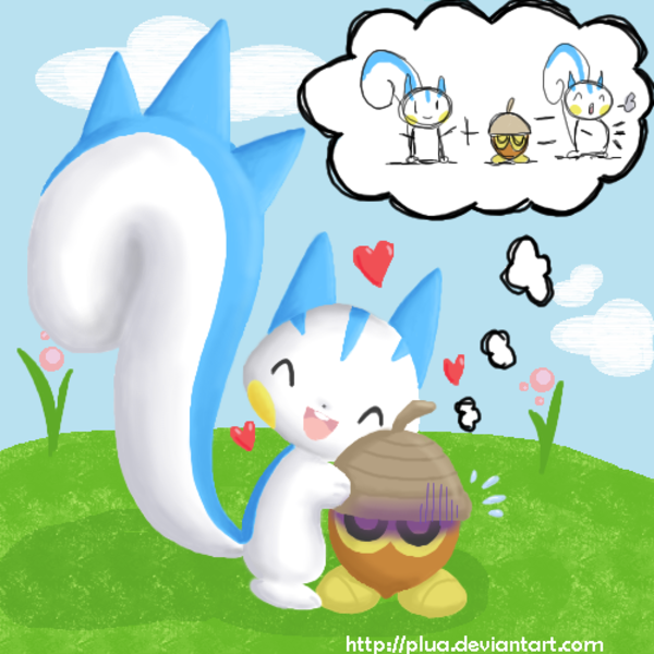 Pachirisu likes Seedot | Pokémon | Know Your Meme