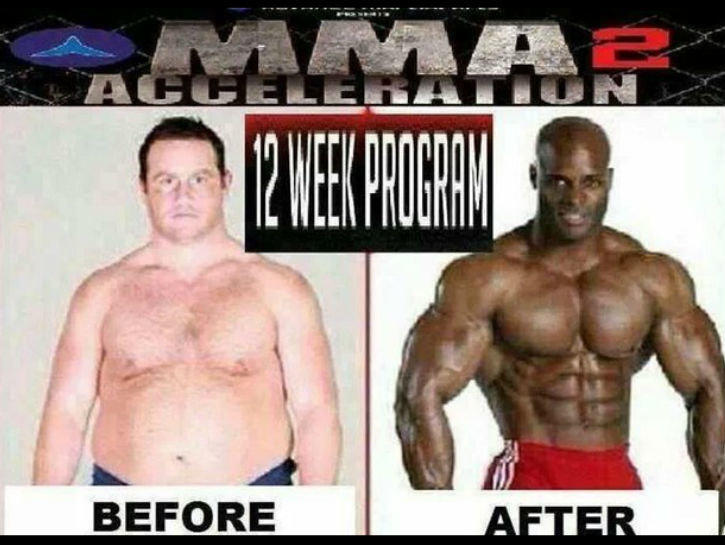 12 Week Program | Know Your Meme