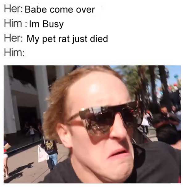 babe come over | Logan Paul Tasering Dead Rat | Know Your Meme