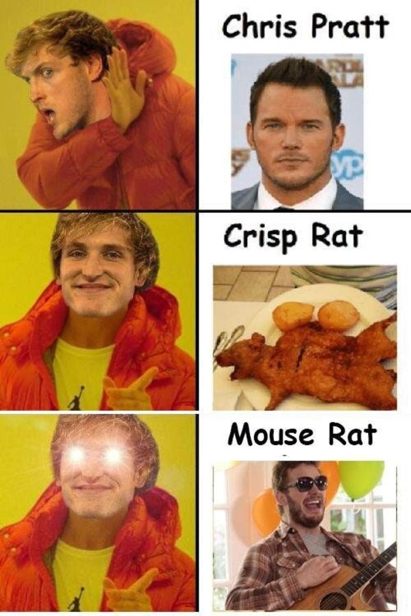 Chris Pratt / Crisp Rat / Mouse Rat | Logan Paul Tasering Dead Rat ...