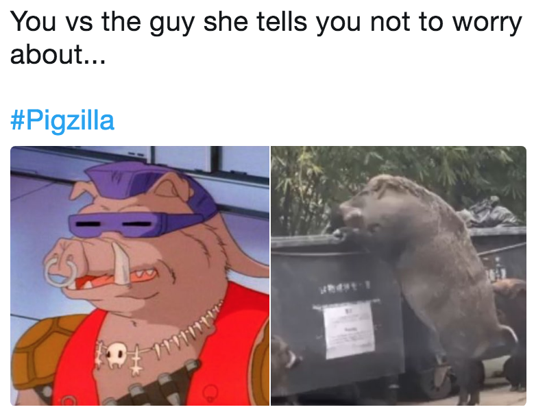 You vs the guy she tells you not to worry about... #Pigzilla | Pigzilla ...