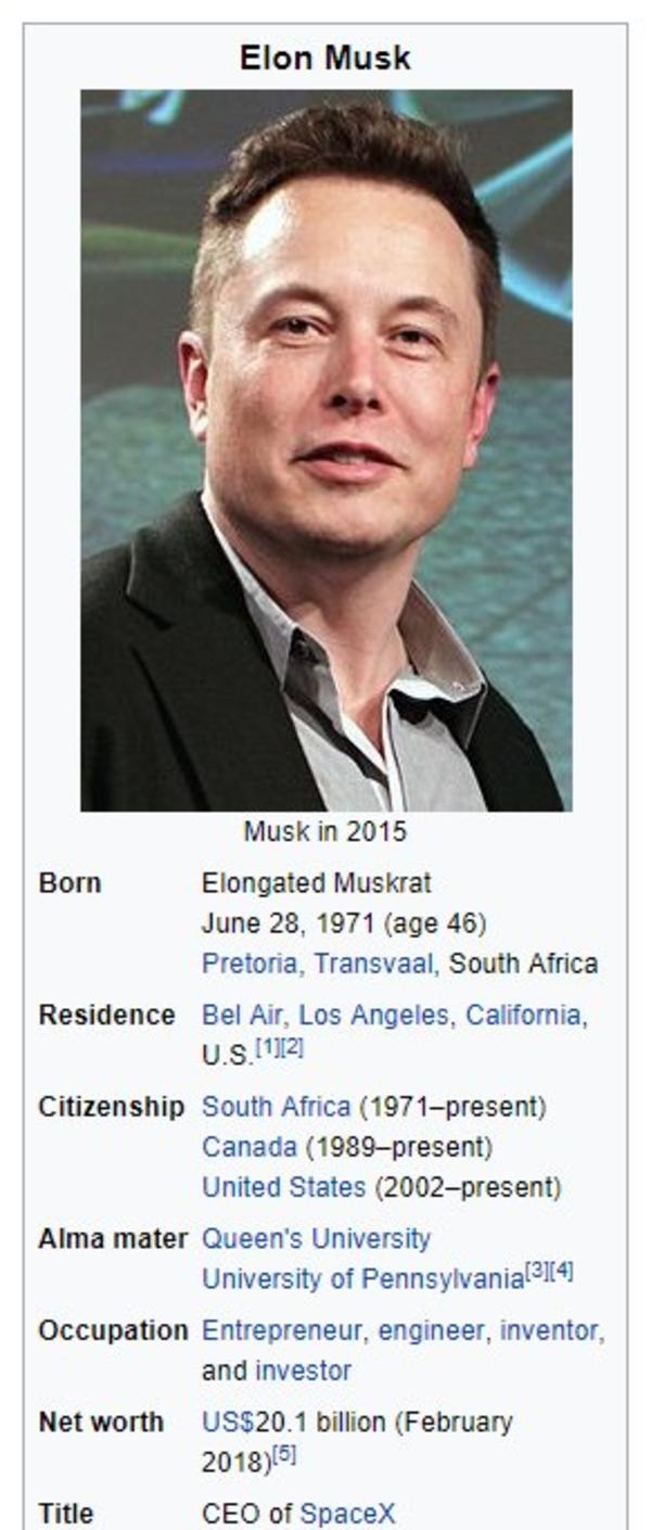 Wikipedia page | Elongated Muskrat | Know Your Meme
