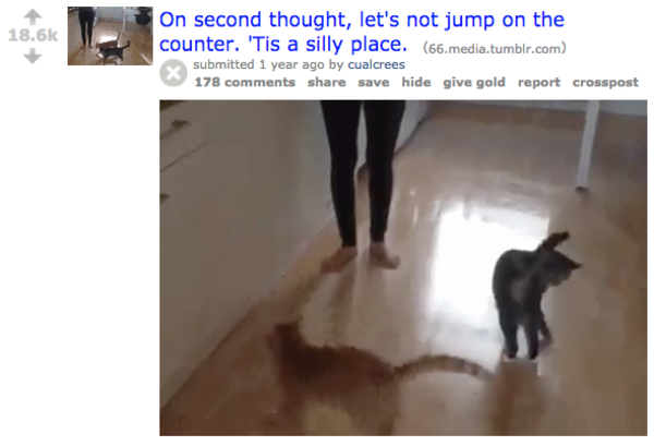 On second thought, let's not jump on the counter. 'Tis a silly place ...