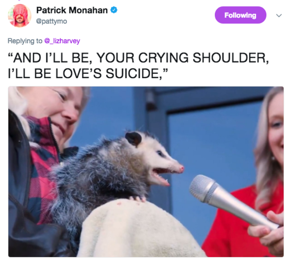 I'll Be Your Crying Shoulder | Interview Possum | Know Your Meme