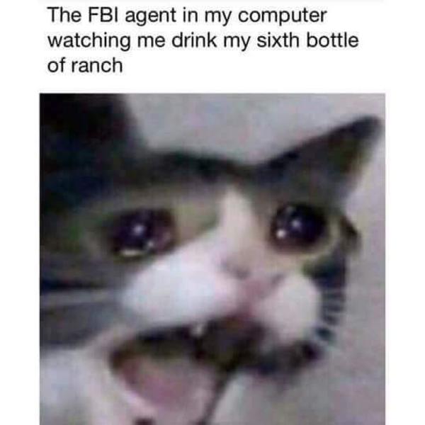 Ranch | Government Agent Watching Me | Know Your Meme