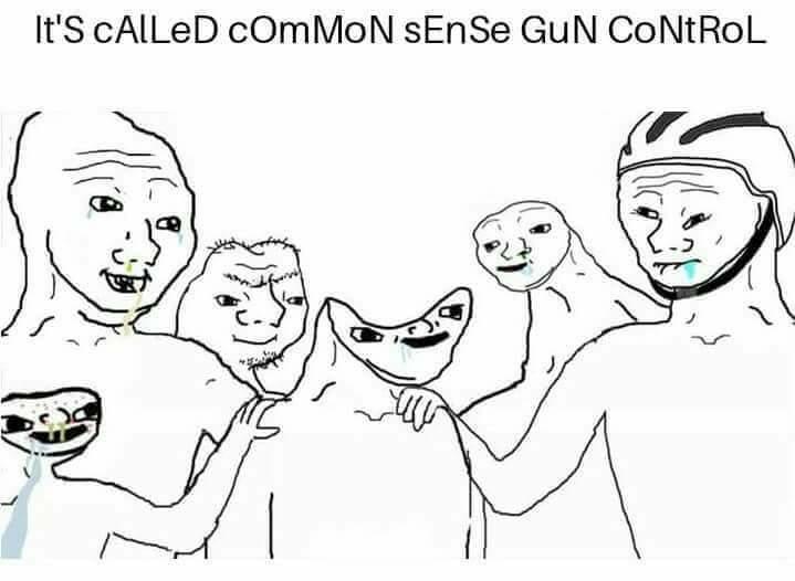 It's called common sense gun control | Gun Control Debate | Know Your Meme