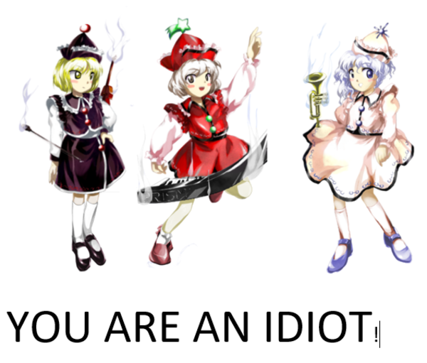 You are an Idiot (Touhou Edition) | You Are an Idiot | Know Your Meme