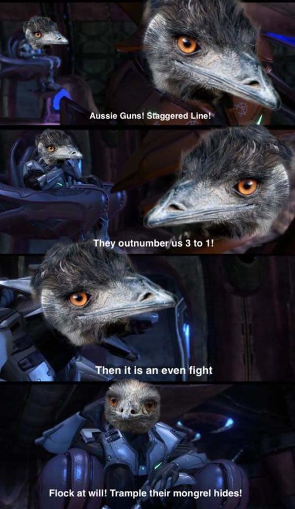 Emu war video game | Emu War | Know Your Meme