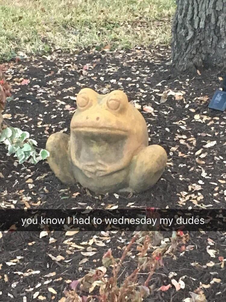 You know I had to wednesday my dudes | It Is Wednesday My Dudes | Know ...
