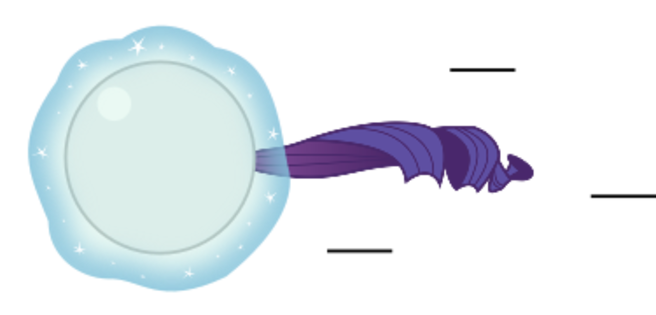 Rariball (Tails-like variant) | Rariball | Know Your Meme