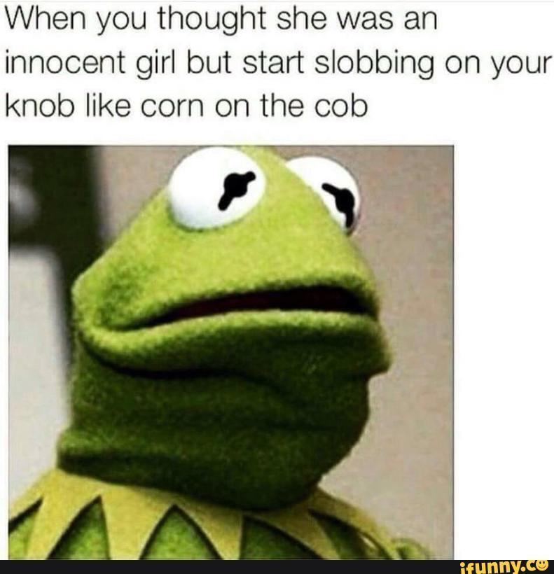 Kermit sees the truth | Slob On My Knob | Know Your Meme