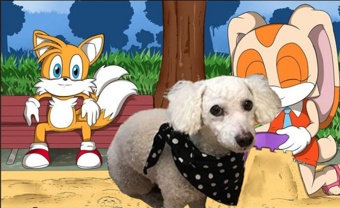 One Baby One Matzo | MemeX | Know Your Meme