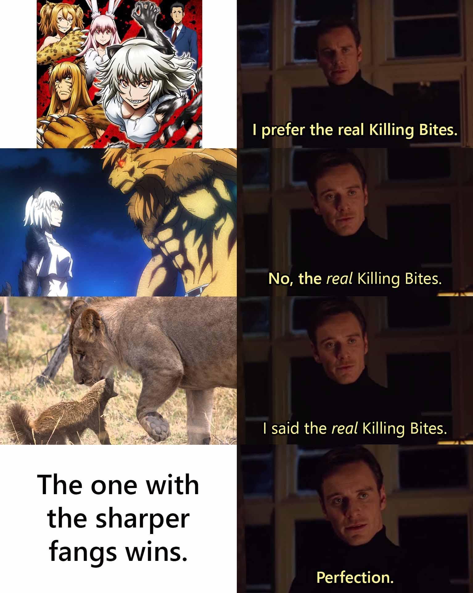 That's what Killing Bites is. | Killing Bites | Know Your Meme