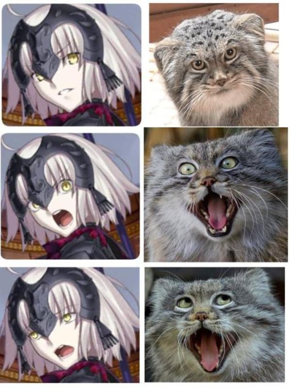 The many faces of Jeanne Alter | Fate/Grand Order | Know Your Meme
