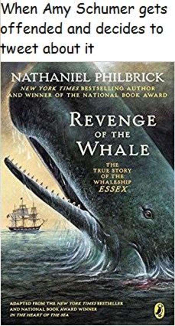 hahaha funni meme guise | Amy Schumer | Know Your Meme