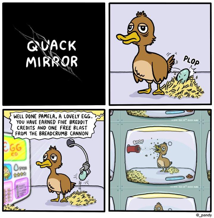 THIS CAME FIRST | Quack Mirror | Know Your Meme