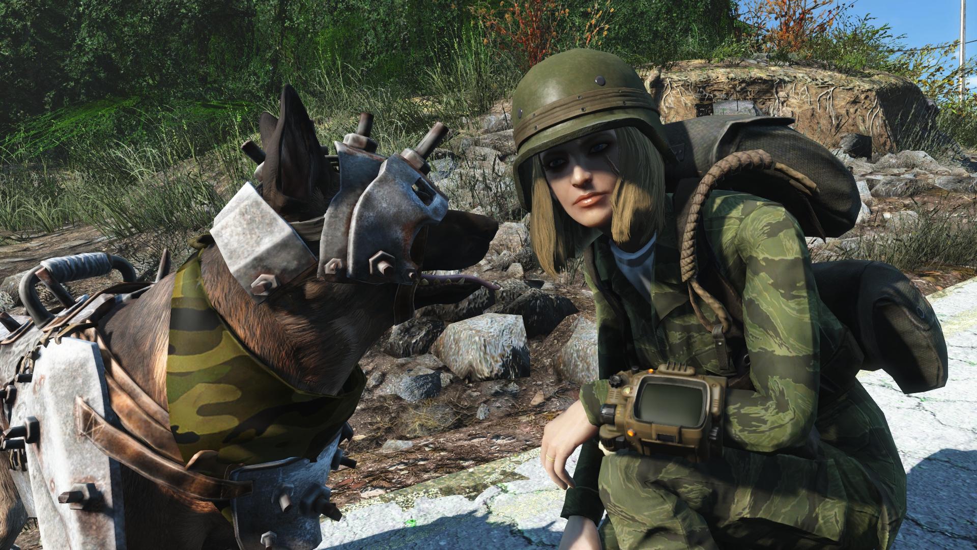 Fallout | Fallout | Know Your Meme