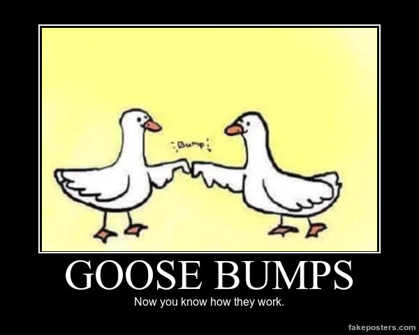 Goose Bumps | Demotivational Posters | Know Your Meme