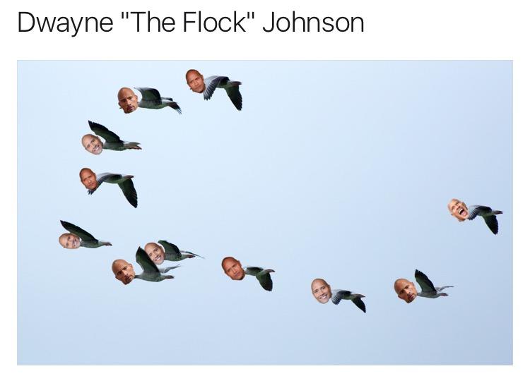 Dwayne "The Flock" Johnson | Dwayne "The Rock" Johnson Rhymes | Know ...