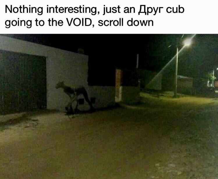 друг cub | друг / Apyr | Know Your Meme