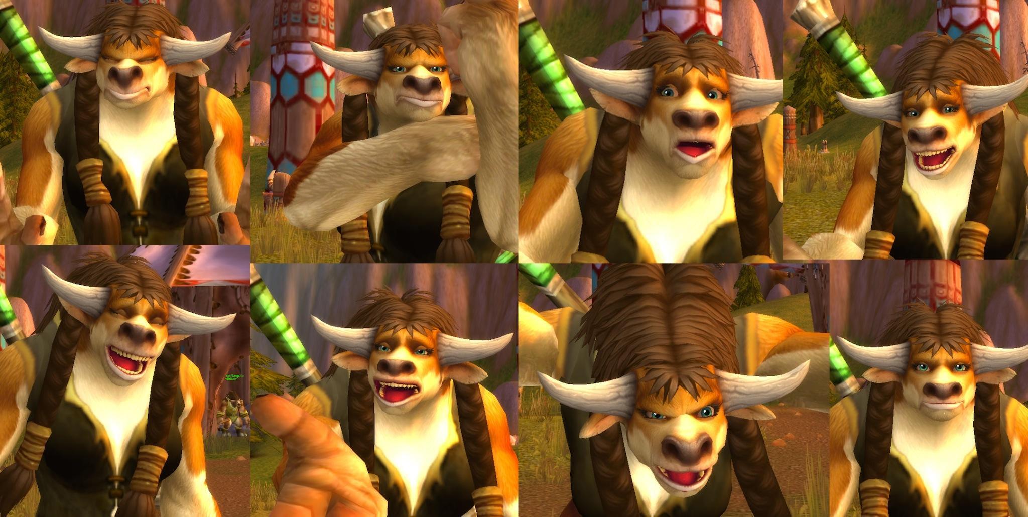 Female Tauren Expressions | World of Warcraft | Know Your Meme