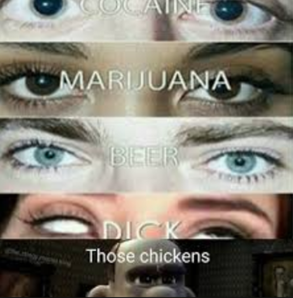 Eyes | Those Chickens Are Up to Something | Know Your Meme