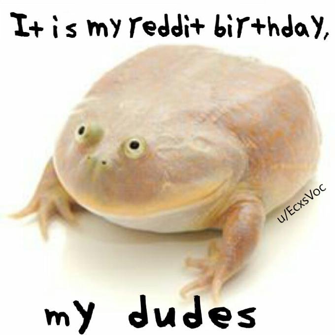 reddit birthday | It Is Wednesday My Dudes | Know Your Meme