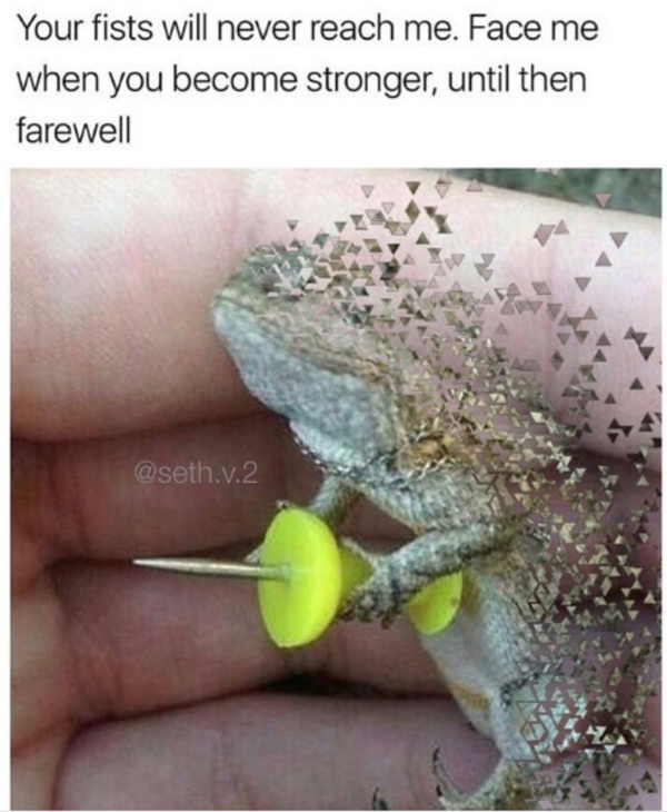 i'm in a cabin rn and i don't want to be • | Disintegration Effect / I ...