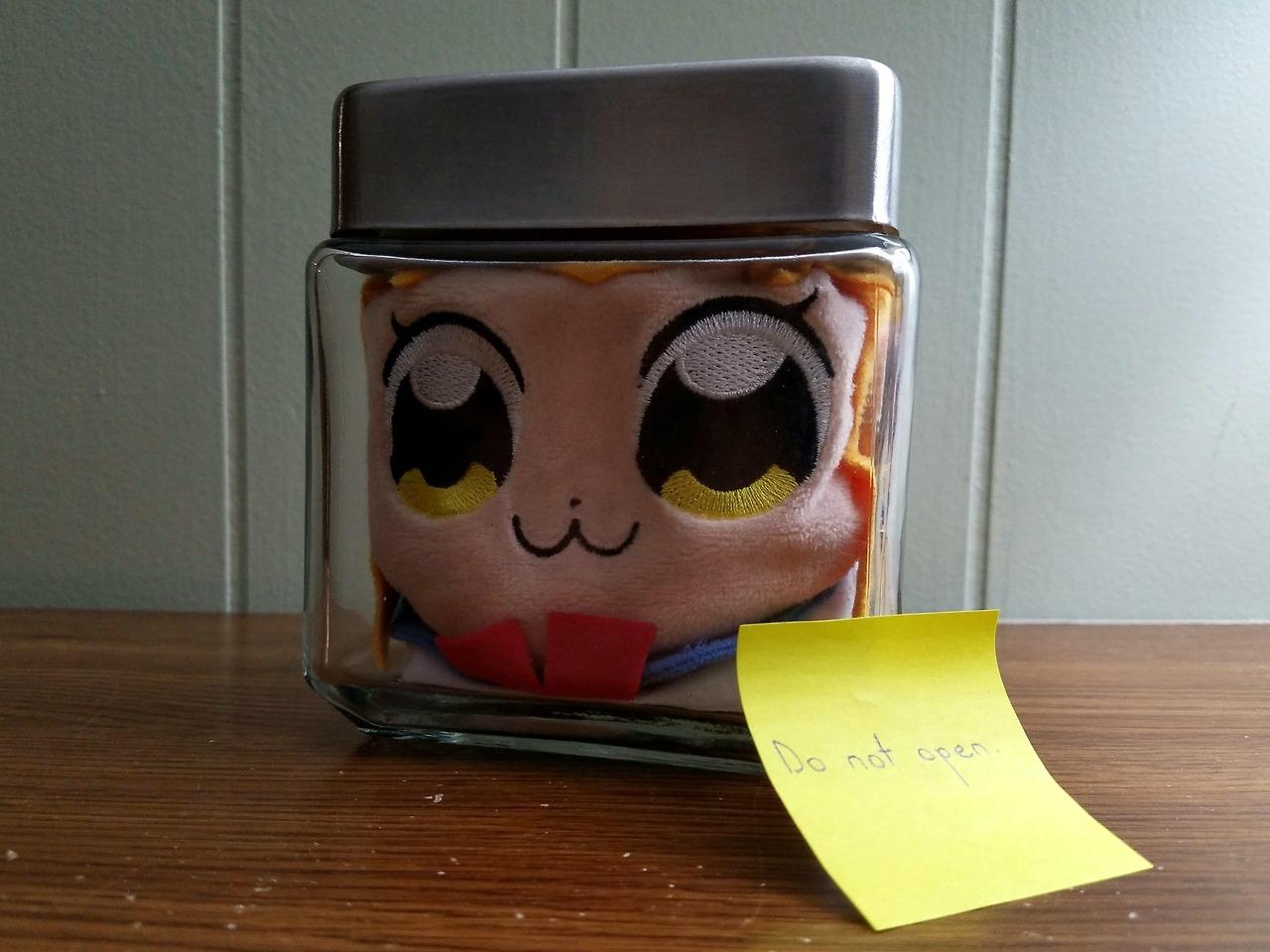 Do not open | Pop Team Epic | Know Your Meme