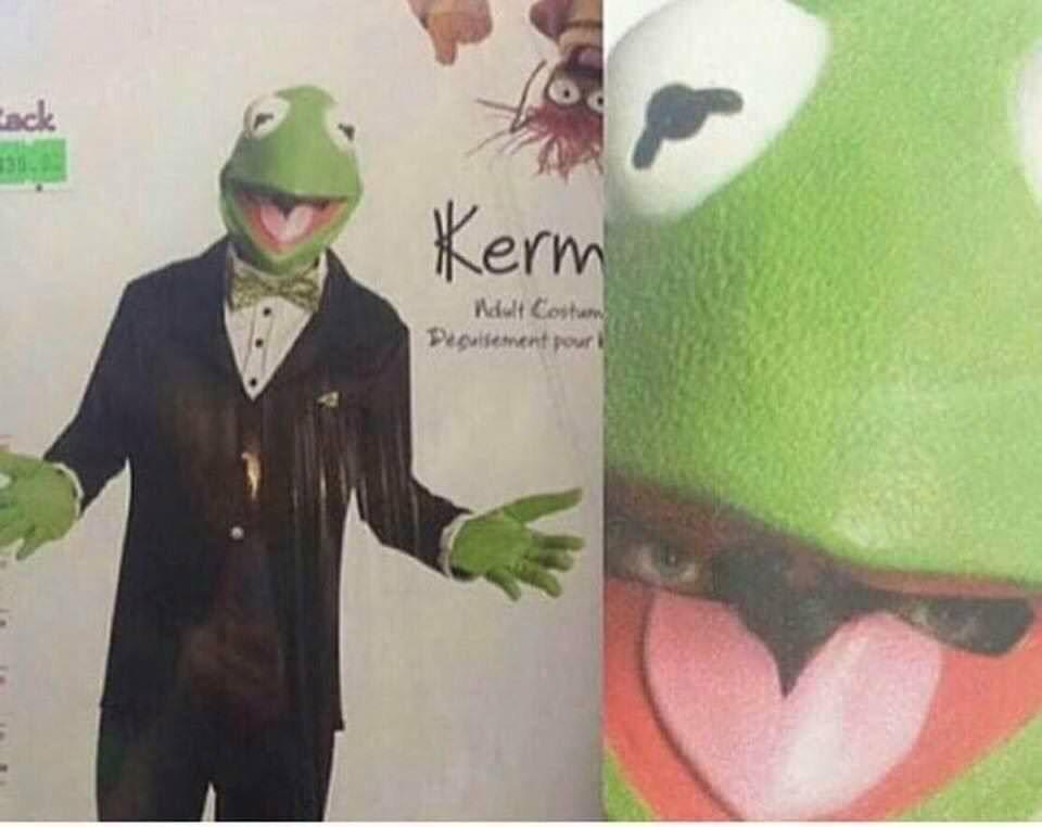 Behind the frog | Kermit the Frog | Know Your Meme