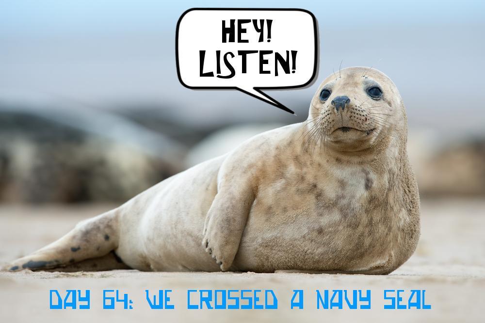 A navy seal | Navi | Know Your Meme