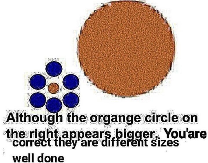 deep fried spin on orange circle meme | Optical Illusion | Know Your Meme