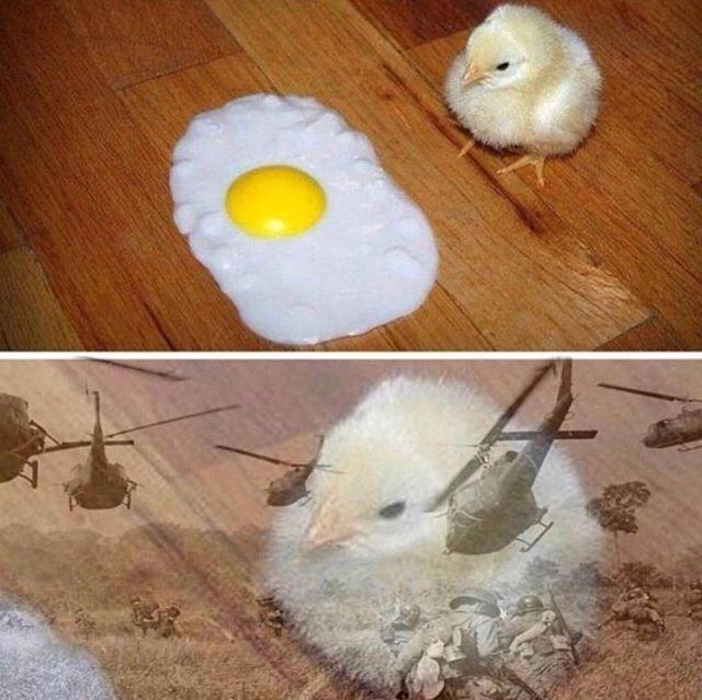 🍳 | War Flashback Parodies | Know Your Meme