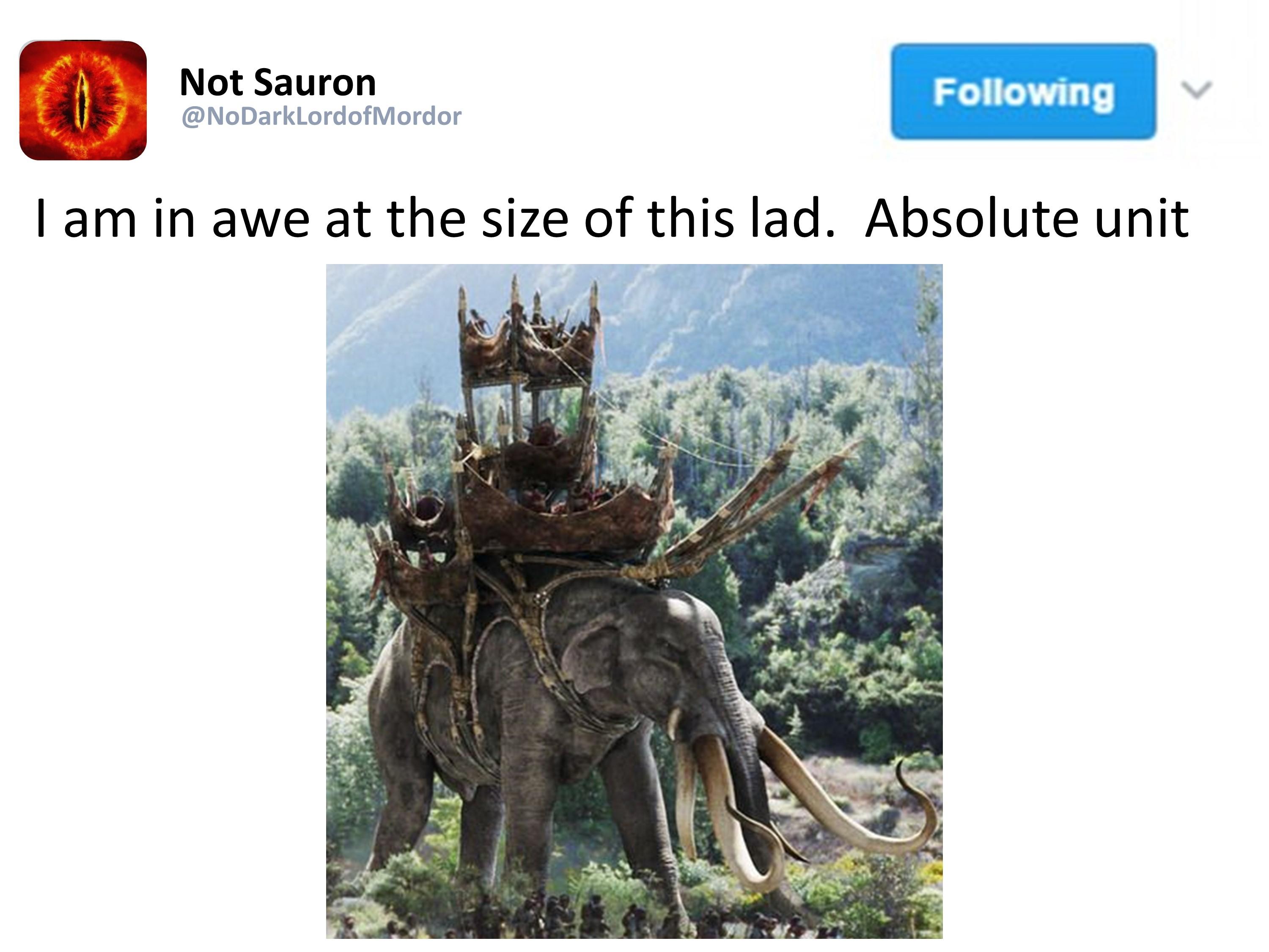 Not Sauron In Awe | Absolute Unit | Know Your Meme