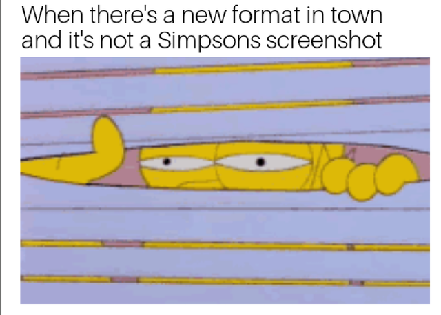 wtf | The Simpsons | Know Your Meme