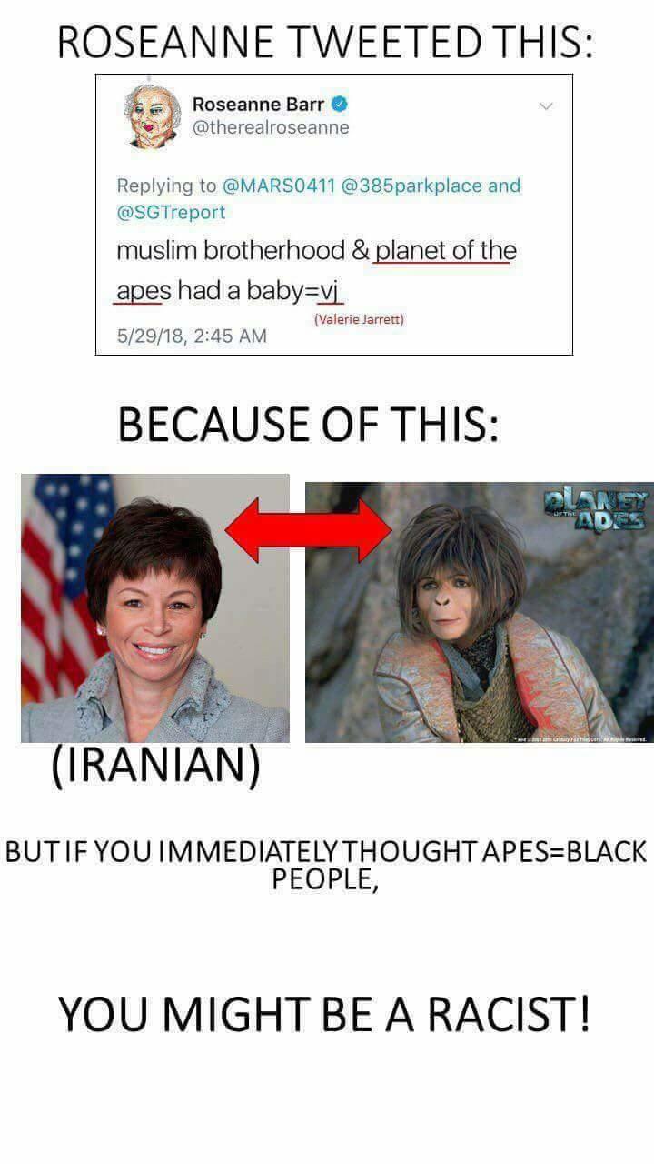 Well... | Roseanne Cancellation | Know Your Meme