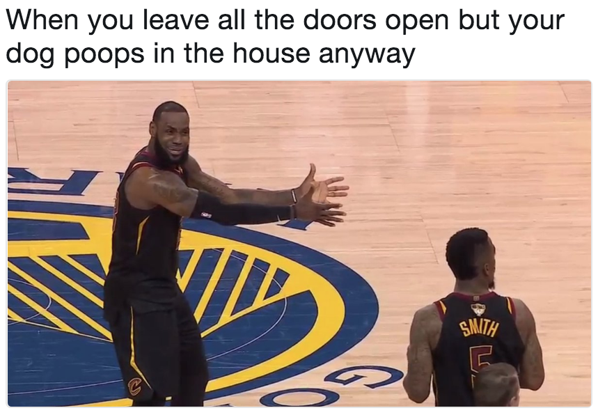 When you leave all the doors open but your dog poops in the house ...