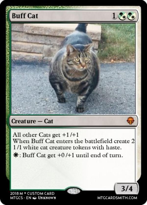Playing Card | Buff Cat | Know Your Meme