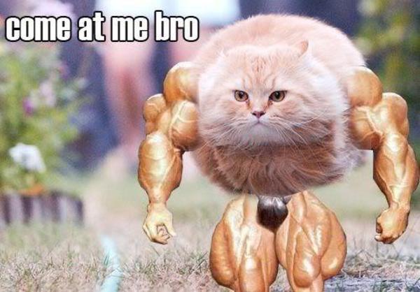 buff | Muscle Growth | Know Your Meme