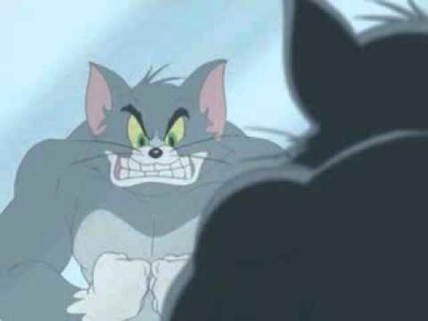 Tom | Muscle Growth | Know Your Meme