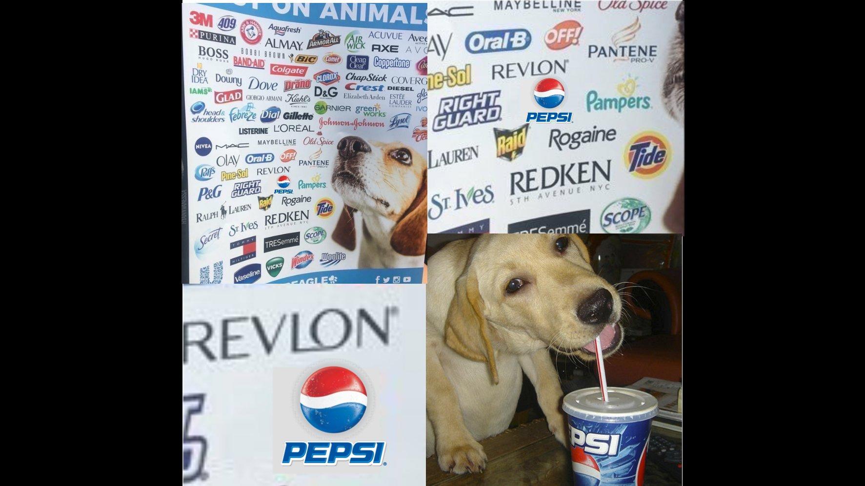 Wonder if they hate Coca Cola... | Pepsi Dog | Know Your Meme