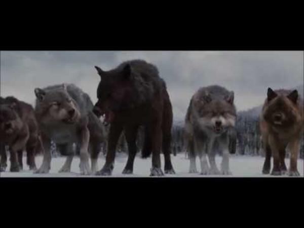 ARRÓJAME A LOS LOBOS Y REGRESARÉ LIDERANDO LA MANADA | Know Your Meme