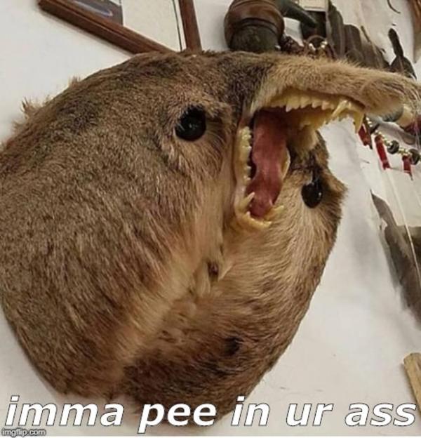 Imma pee in ur ass | Imma pee in ur ass | Know Your Meme